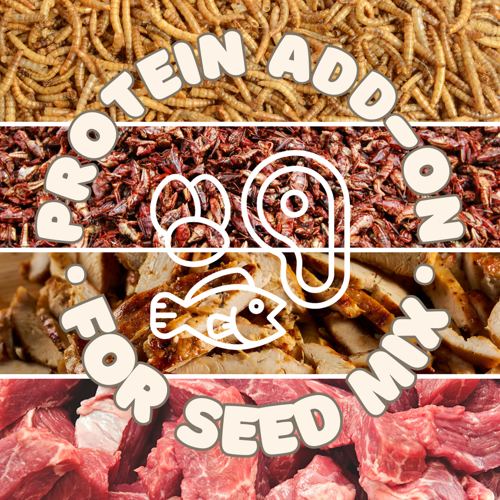 Single Protein Add-on (15g) – Fatpouches