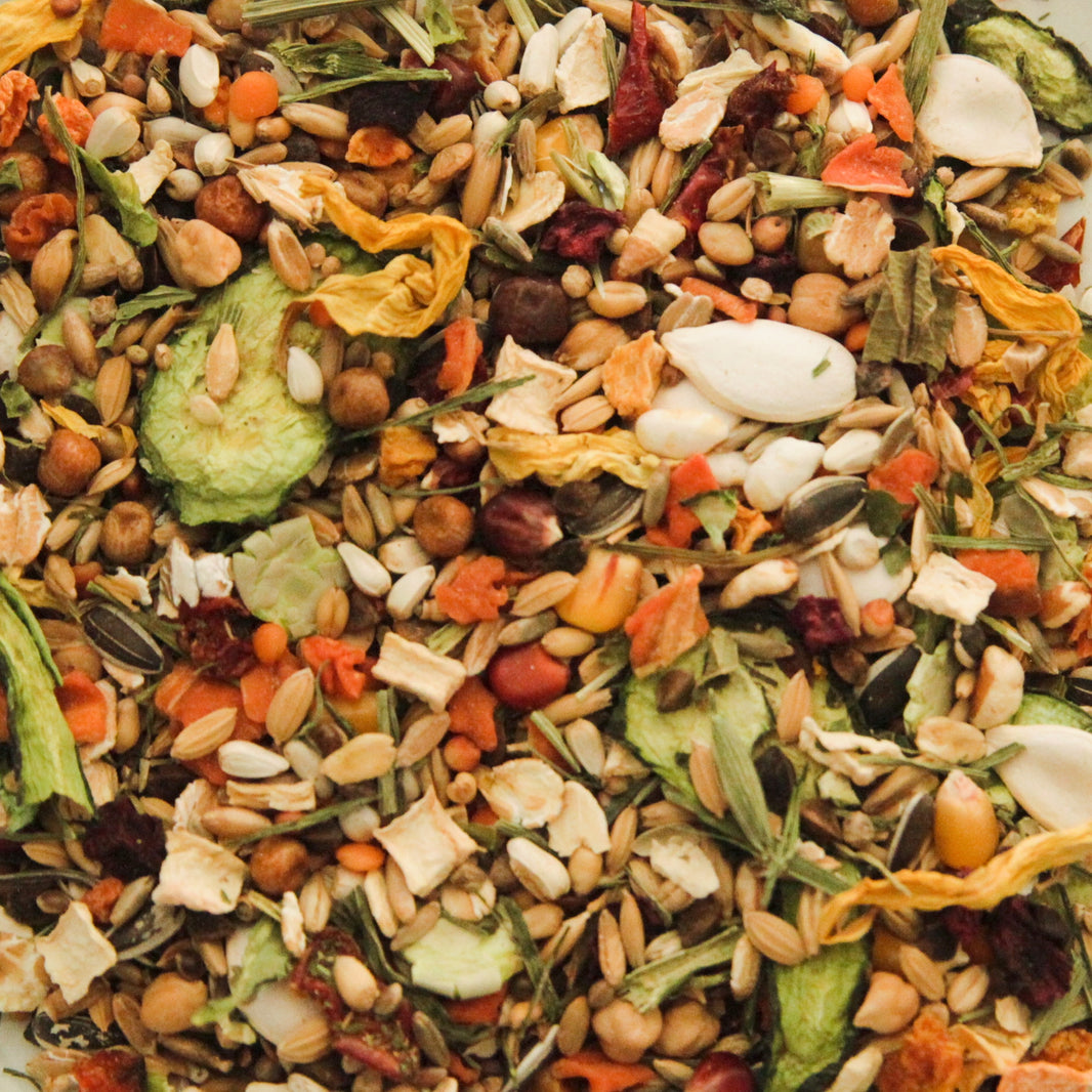 Seed mixes - Fatpouches hamster supplies