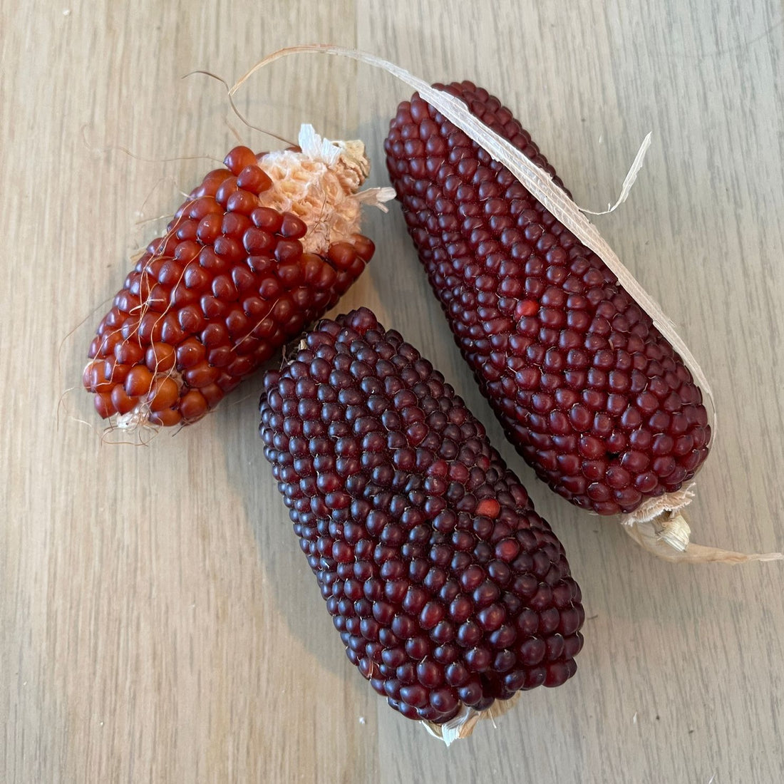 Mini Strawberry Corn Cobs - Fatpouches Hamster treats